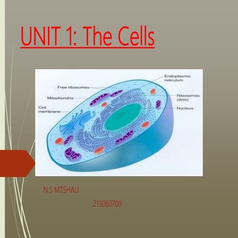 Biology unit 2 cells plant and animal cell notes | PPT