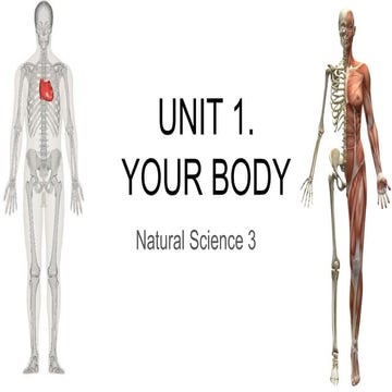 Unit 1. Your body | PPTX