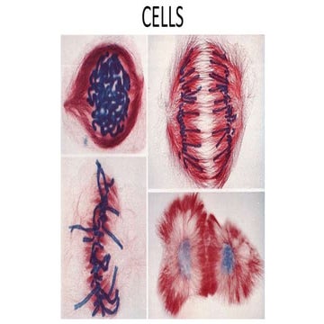 The Cell & Cell Cycle-detailed structure and function of organelles.pptx