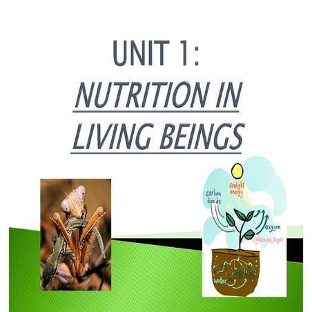 2º ESO UNIT 1 LIVING BEINGS NUTRITION | PPT