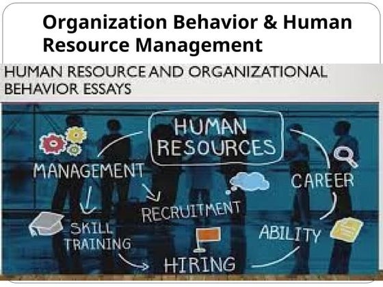Models of Organisational Behaviour | PDF