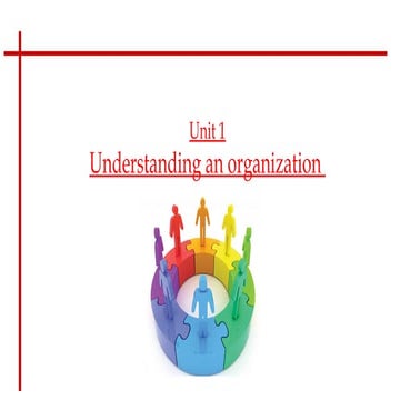 Understanding an Organization - Copy.ppt