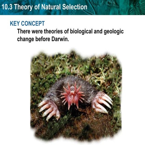 Unit 10 natural selection | PPTX