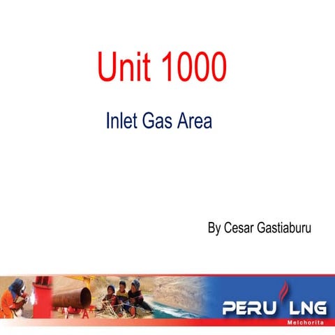 Unit 1000 gas inlet | PPT
