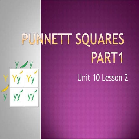Unit 10 lesson 2 notes | PPT