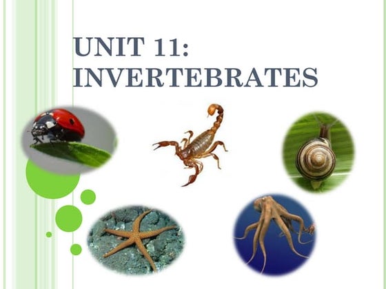 VERTEBRATES AND INVERTEBRATES | ODP