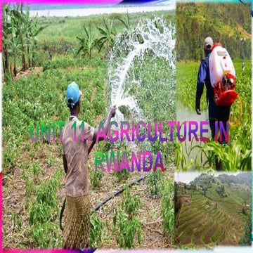 Unit 11 Agriculture in Rwanda.pptx