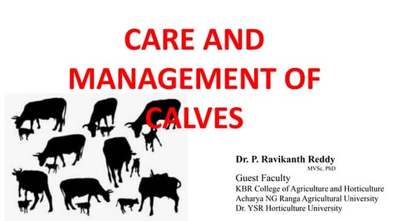 COMMON TERMS USED IN SHEEP AND GOAT | PDF