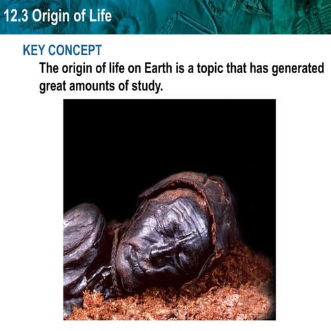 Unit 13b Origin of life | PPTX