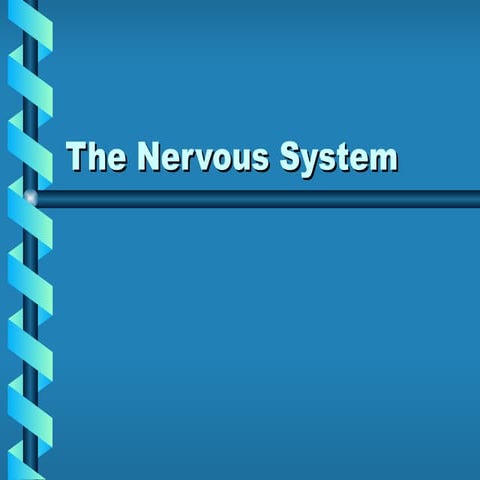 Unit 13 nervous system | PPT