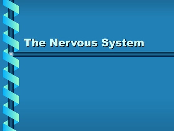Nervous tissue | DOCX | Brain and Nervous System Disorders | Diseases ...