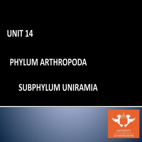 Unit 14 PowerPoint Lecture notes for study.pdf