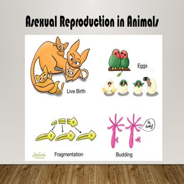 Unit 17 Perpetuation of Life 3.pptxhhhhh | PPTX