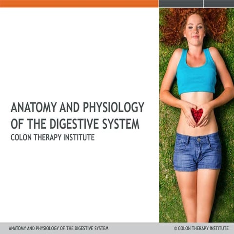 Unit 1 a&p digestive system cti | PPT