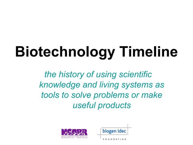 Traditional vs modern biotechnology | DOCX