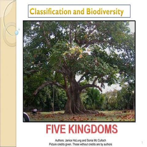 Unit 1 classification biodiversity presentation | PPT