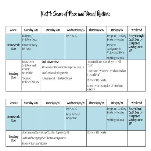 9th grade syllabus | DOC