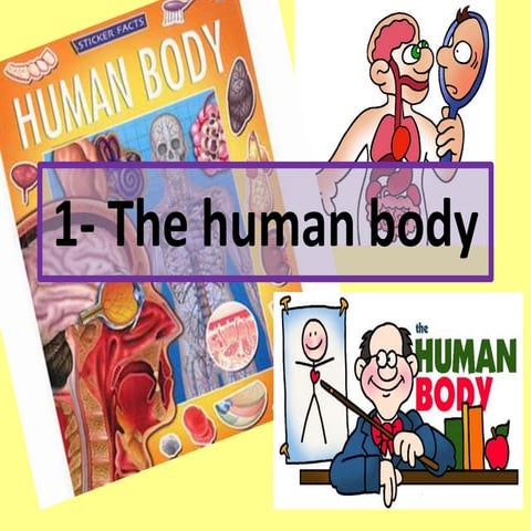 cienceUnit 1 el cuerpo humano español | PPTX