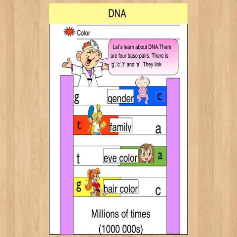 Unit 1 esl science dna | KEY
