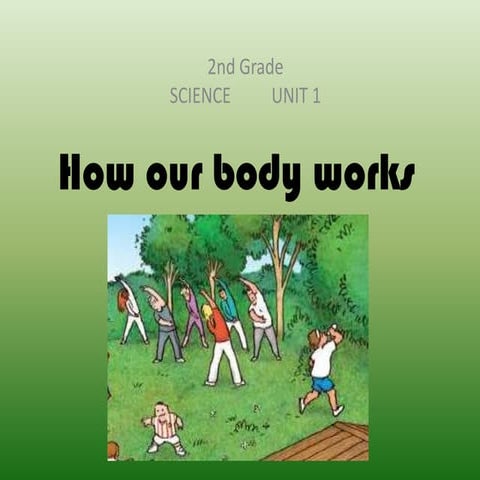 Unit 1 how our body works | PPTX