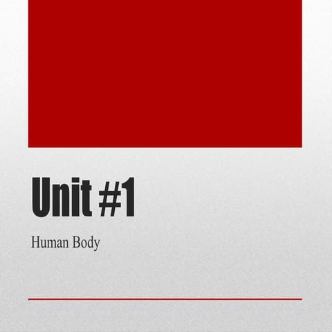 A&P Unit#1 Human Body | PPT