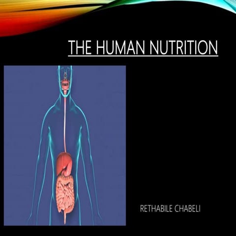 Unit 1 human nutrition | PPTX