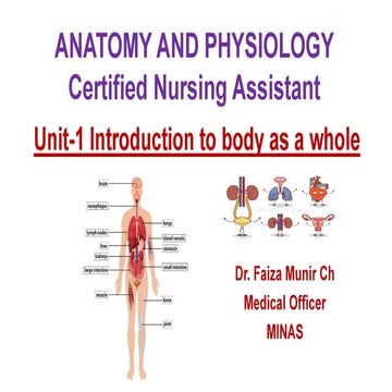 Unit 1 introduction to human body as a whole cna | PDF