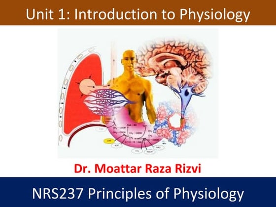 Chapter 1 Introduction to Human Anatomy and physiology | PPT