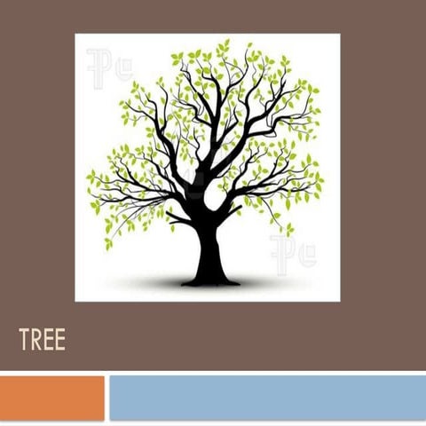 Unit 1 L4 TREE.pptxnnnnnnnnnnnnnnnnnnnnn | PPTX