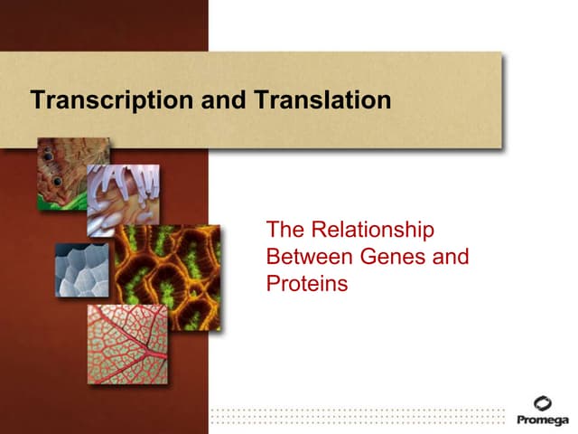 Unit1 lecture | PPT Unit1 lecture | PPT