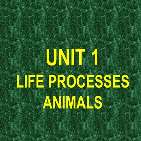 Unit 1 life processes animals | PPSX