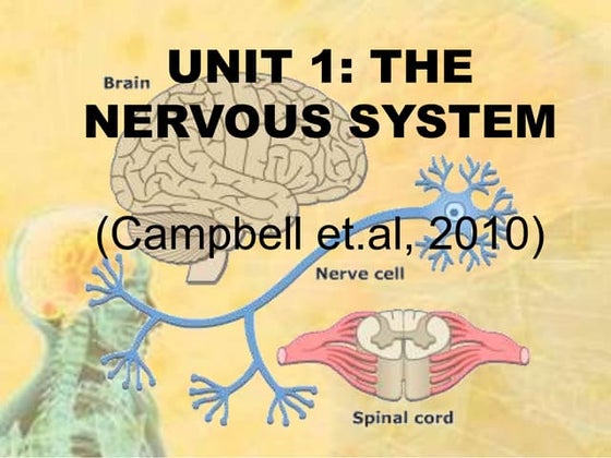 Nerves system(CNS, PNS) | PPT