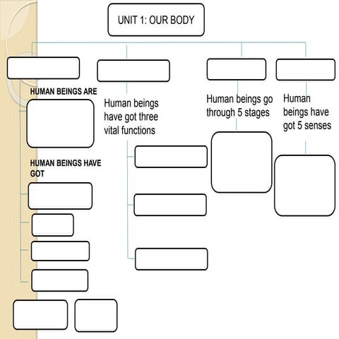 Unit 1 our body | PPT