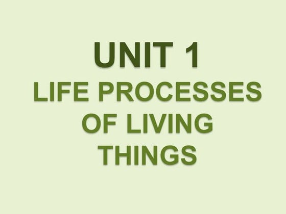 The 8 Life Processes & Homeostasis - Living Environment/Biology | PPTX