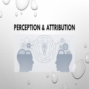 Unit 1 Organisational Behaviour Perception Attribution PPP.pptx