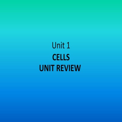 Unit 1 review | PPT