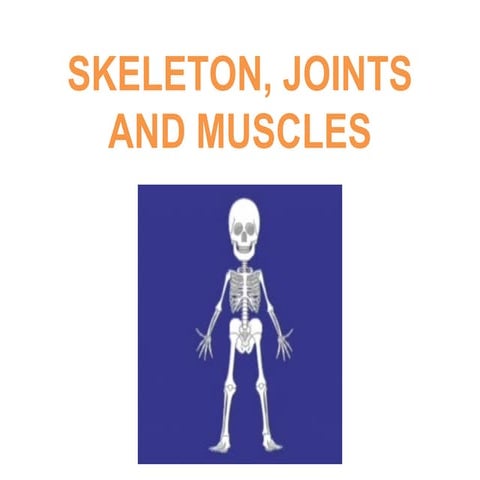 Unit 1 skeleton, joints and muscles | PPT