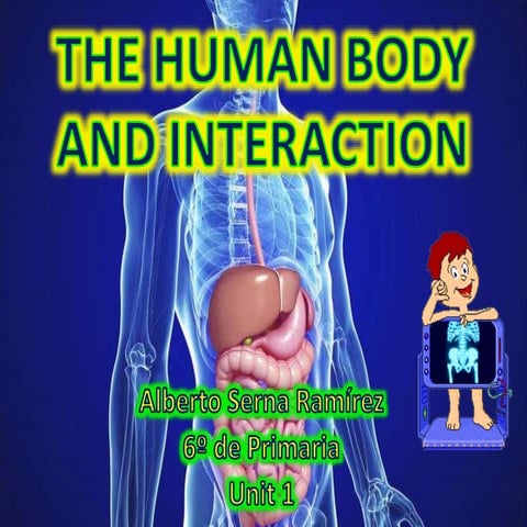 The human body and interaction | PPTX