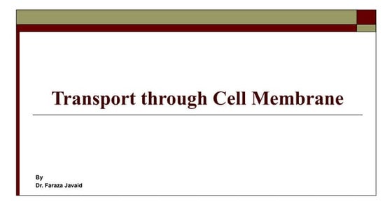 Membrane Transport System | PPT