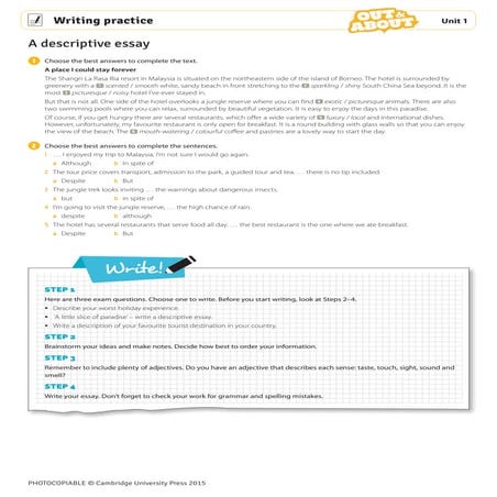 Descriptive Paragraph | PPTX