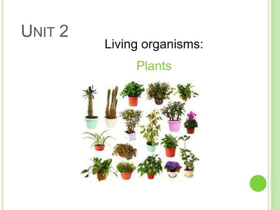 Plants and trees | PPTX