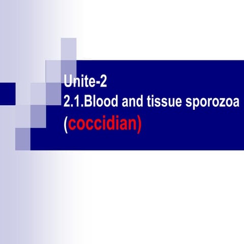 unit 2-1 Blood & TISSUE coccidian PPT2 March 2023.ppt