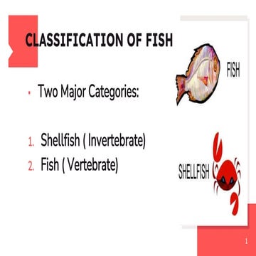 THE CLASSIFICATION AND MARKET FORMS OF FISH | PPTX