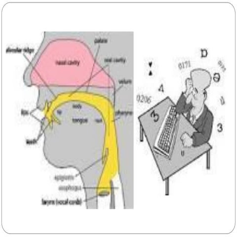 The study of Phonetics, speech sounds, place of articulation.pdf
