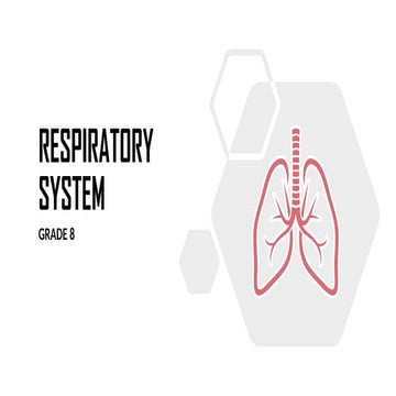 Respiration grade 7 cambridge curriculum .pptx