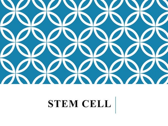 Introduction to stem cell | PPTX | Infertility | Reproductive Health