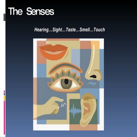 The Senses | PPT