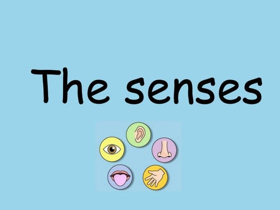 sample lesson plan in science five senses | PDF