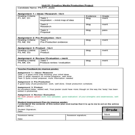 Unit 21 marksheet peaty | DOCX