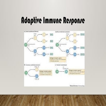 Unit 23 The Immune System Defense Against Disease 3.pptx